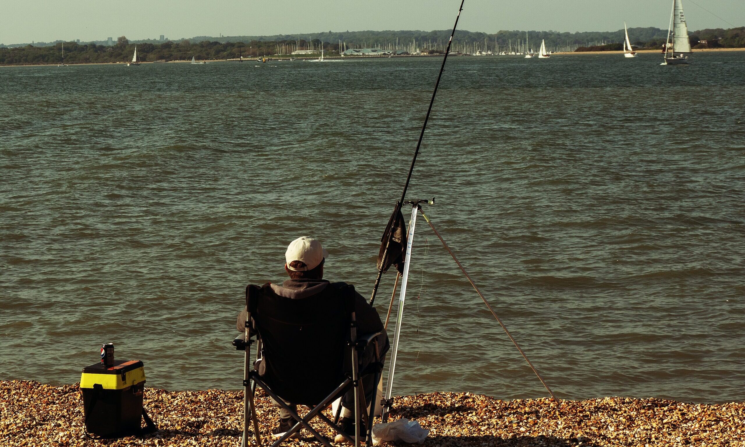 Angling Direct adds former French Connection COO to its board | Retail ...